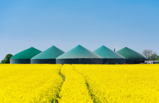 Biofioul : tout savoir sur cette énergie | Espace Aubade