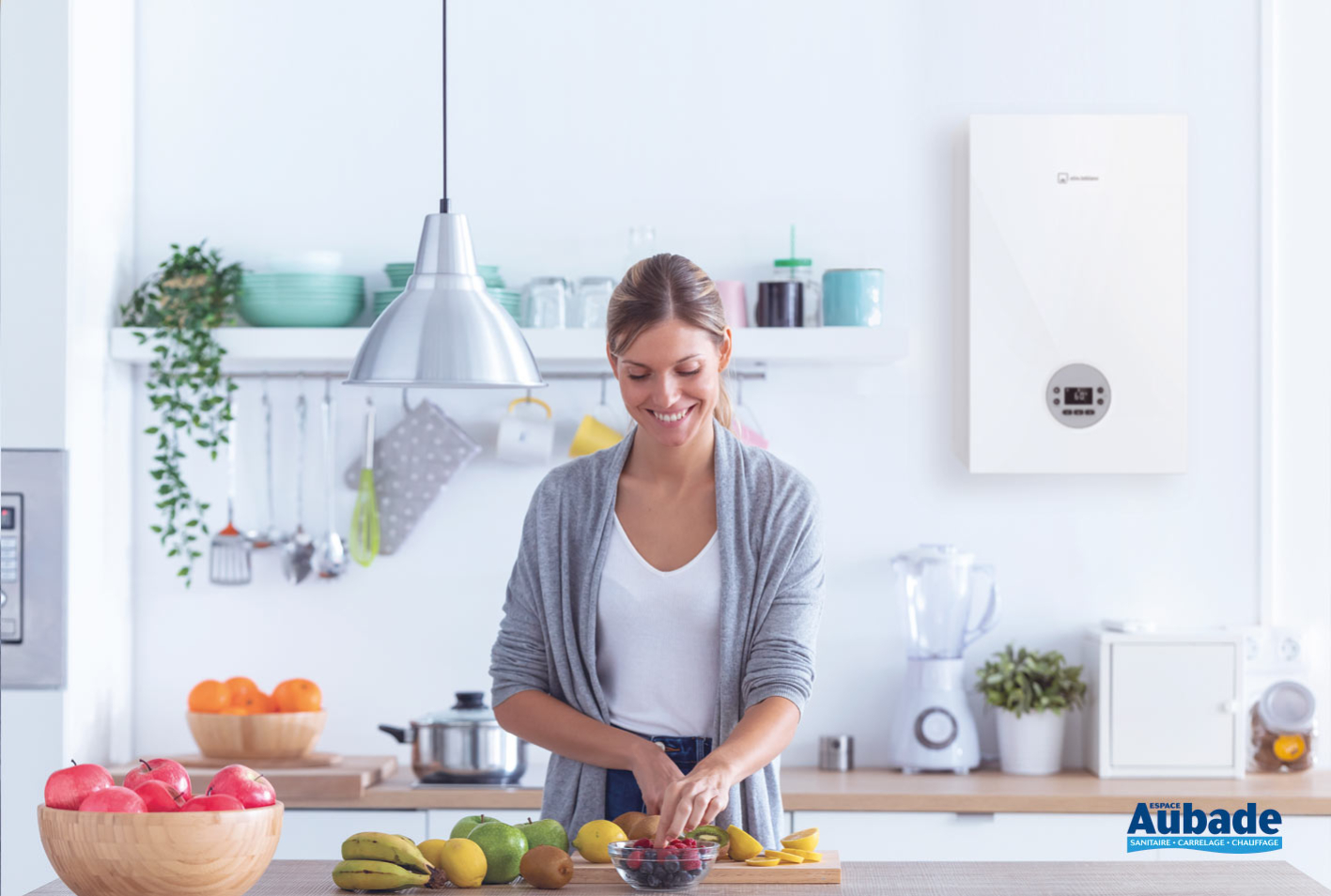 Chaudière murale gaz condensation oxylis iCondens ELM Leblanc | Espace ...