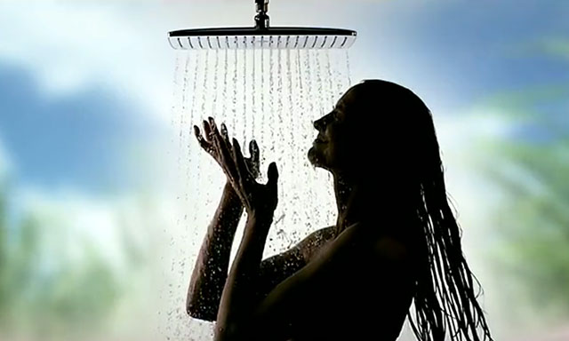 Hydrothérapie : douche de tête à 2 jets Hansgrohe | Espace Aubade